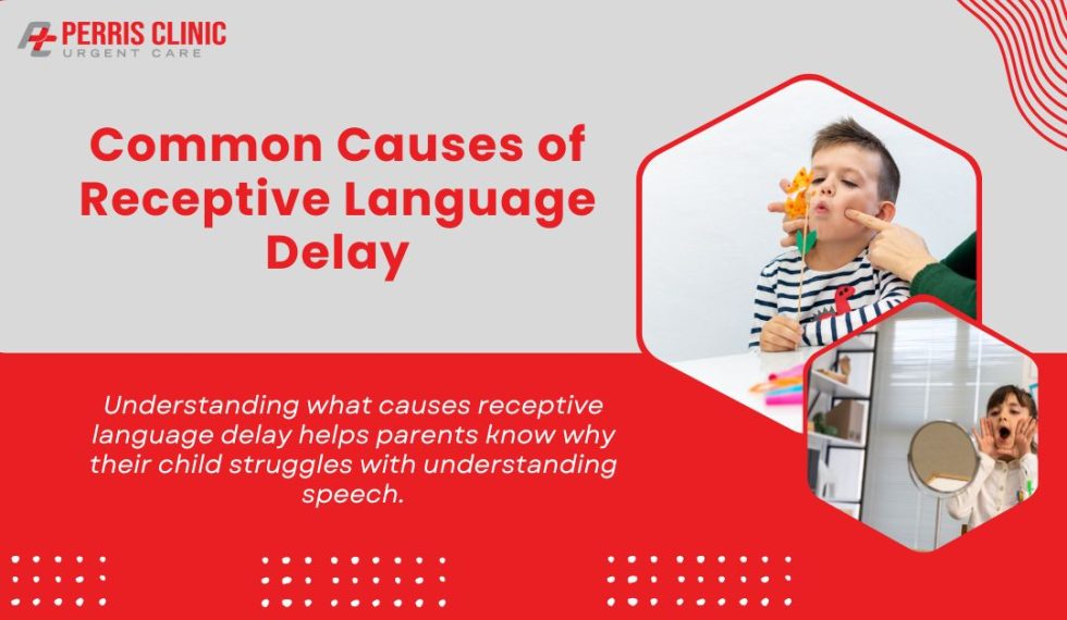 Receptive Language Delay Therapy: Signs, Causes & Treatment - Perris Clinic